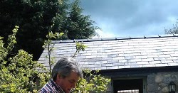 nieripigeons USA racing pigeons: Un grupo con una sola misión: La ...