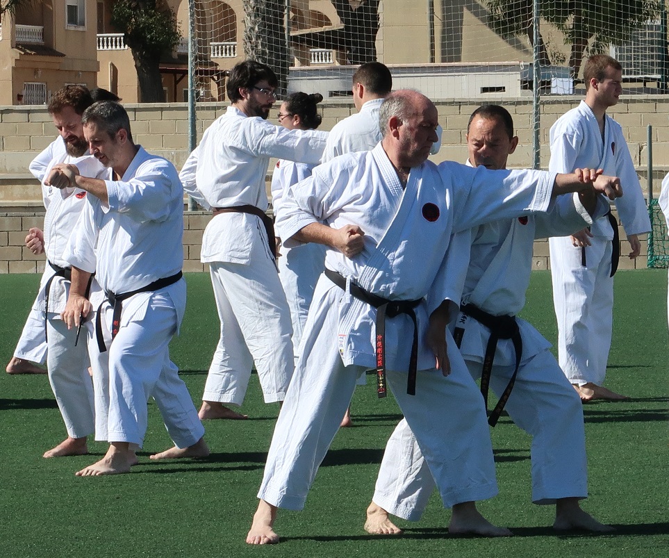 Asociación Malagueña de Goju-Ryu Karate-do: GOJU-RYU Y TAI JITSU EN CATRAL