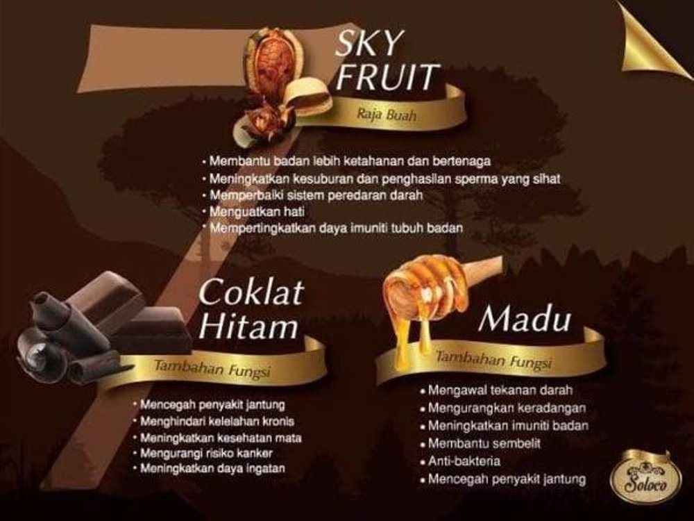 SOLOCO CHOCOLATE - TERBAIK DARI LADANG