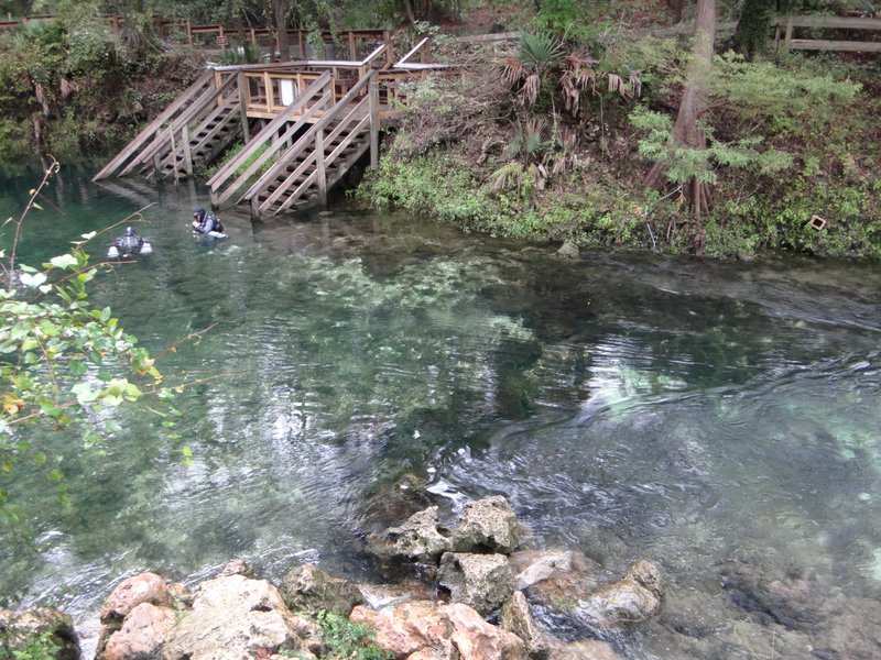 States of Immersion - A Florida Cave Diving Adventure: Madison Blue