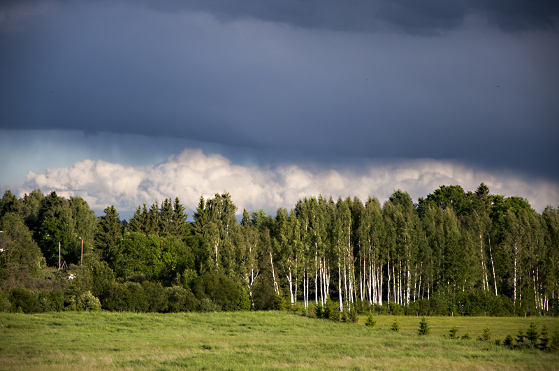 Fotoring: Merili loodusfotod Aardlapalus käigust