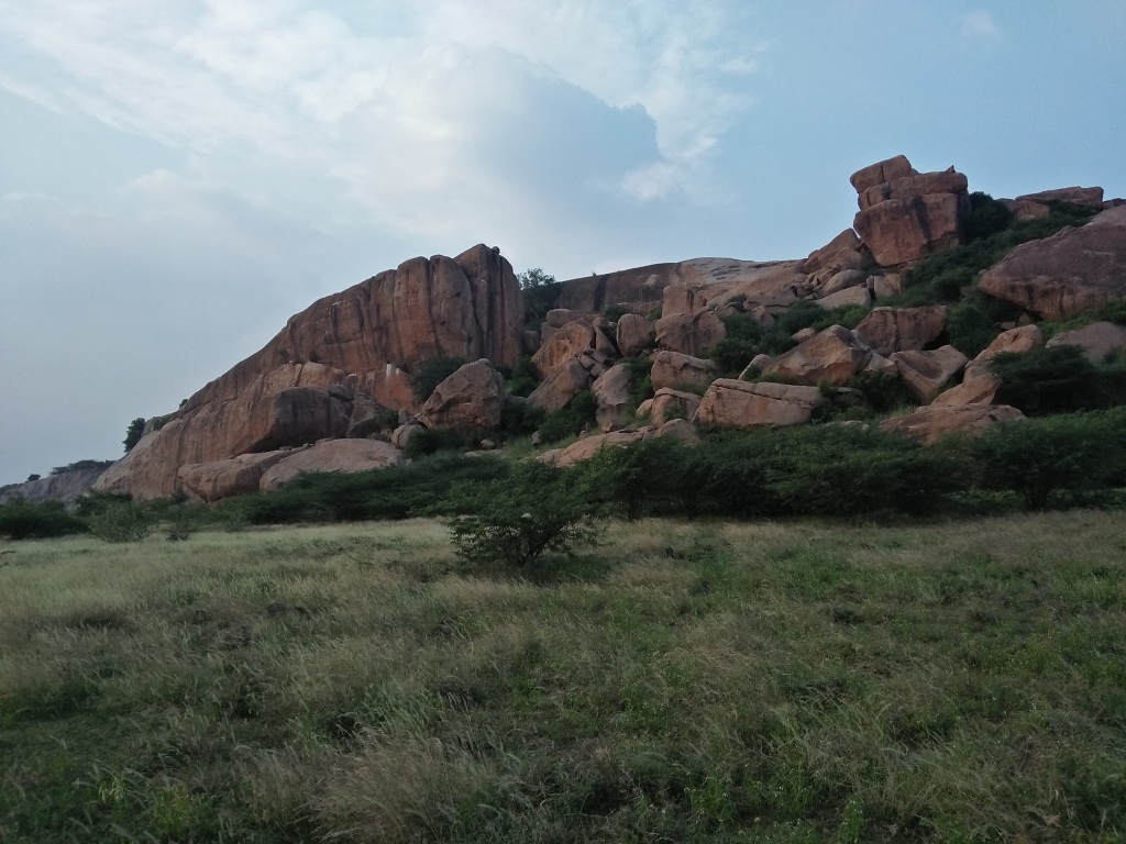 Tamilnadu Tourism: Samanar Hills, Madurai