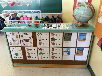 Les idées de Mme Roxane!: Coin des scientifiques