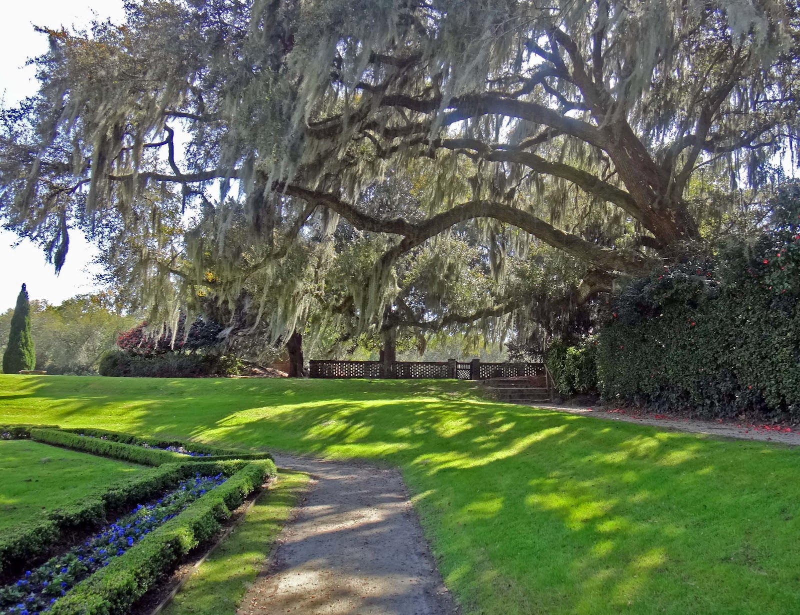 Joe's Retirement Blog: Middleton Place, Charleston, South Carolina, USA