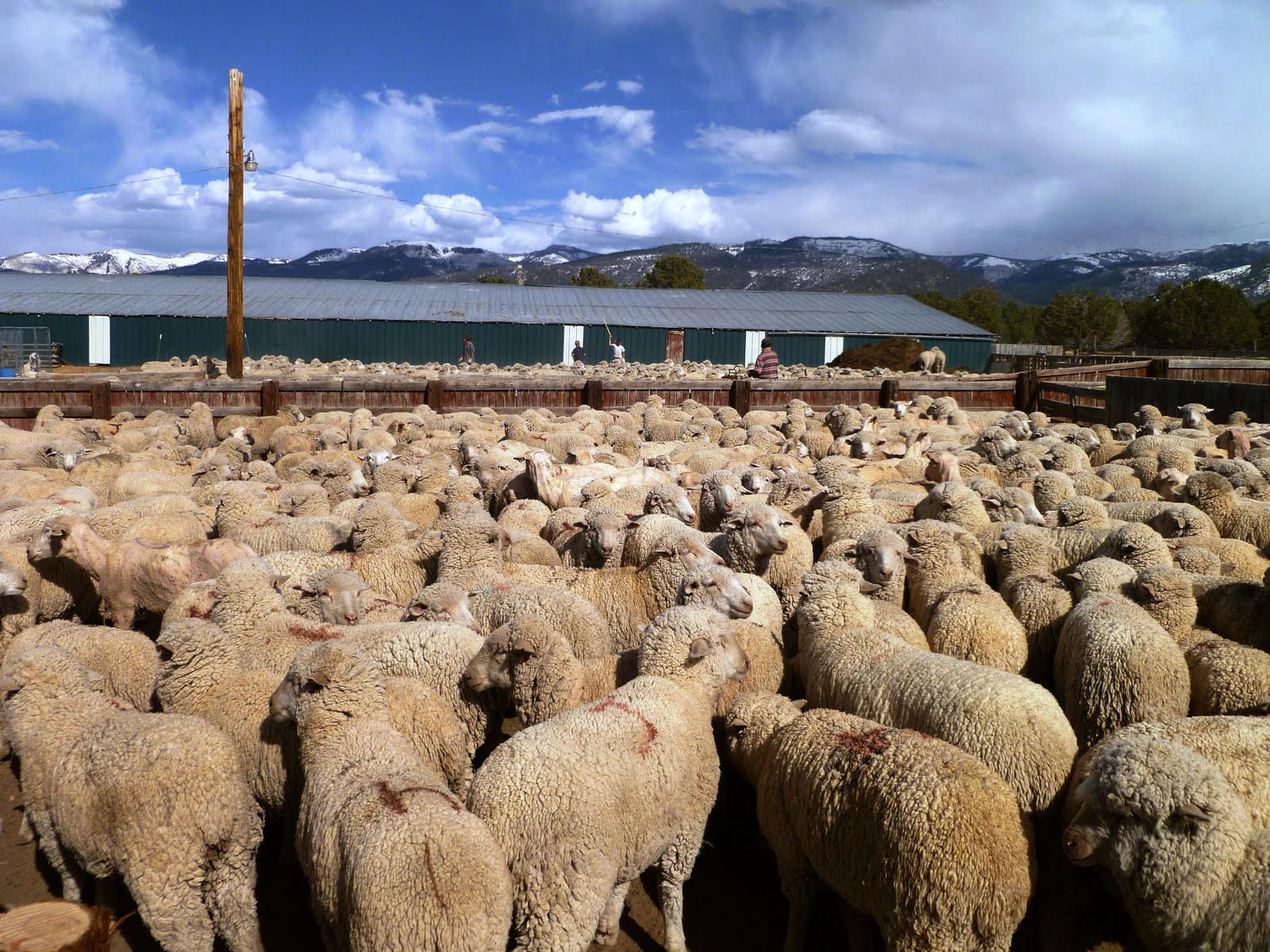 andy at faith: Jesus Is The Door