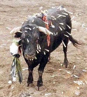 Im-Pulso: Toro de la Vega: La España negra tortura "reglamento en mano"...