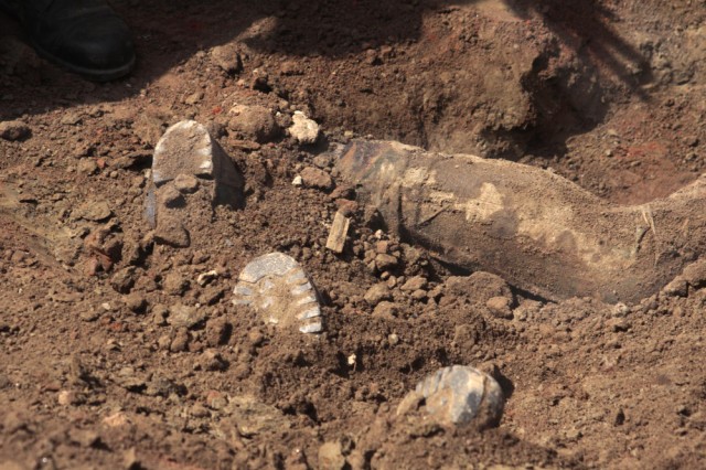 nEWS BD71: The BDR Mutiny-Revenge For Padua And Boraibari