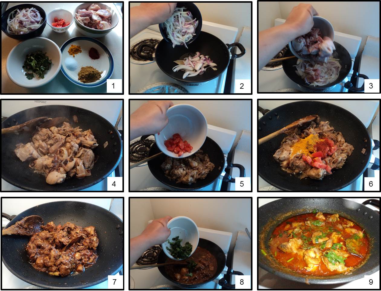 The Nepali - American Cooking Blog: "Nepali Style Chicken Curry"