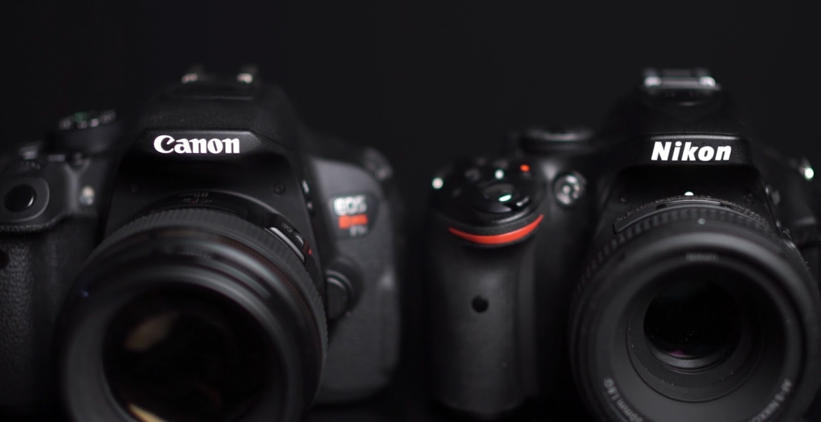 Ini Dia Kelebihan Dan Kekurangan Canon VS Nikon - Photography School