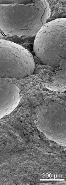 Partial Ellipsis of the Sun: A Blog for Scientists who like Words and ...