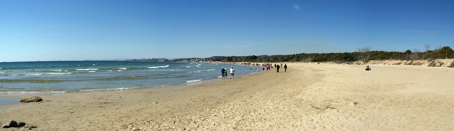 el gosset Milú: Platjes de Tarragona