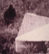 Twilight Language: Montauk Project, Montauk Monster, and Stranger Things