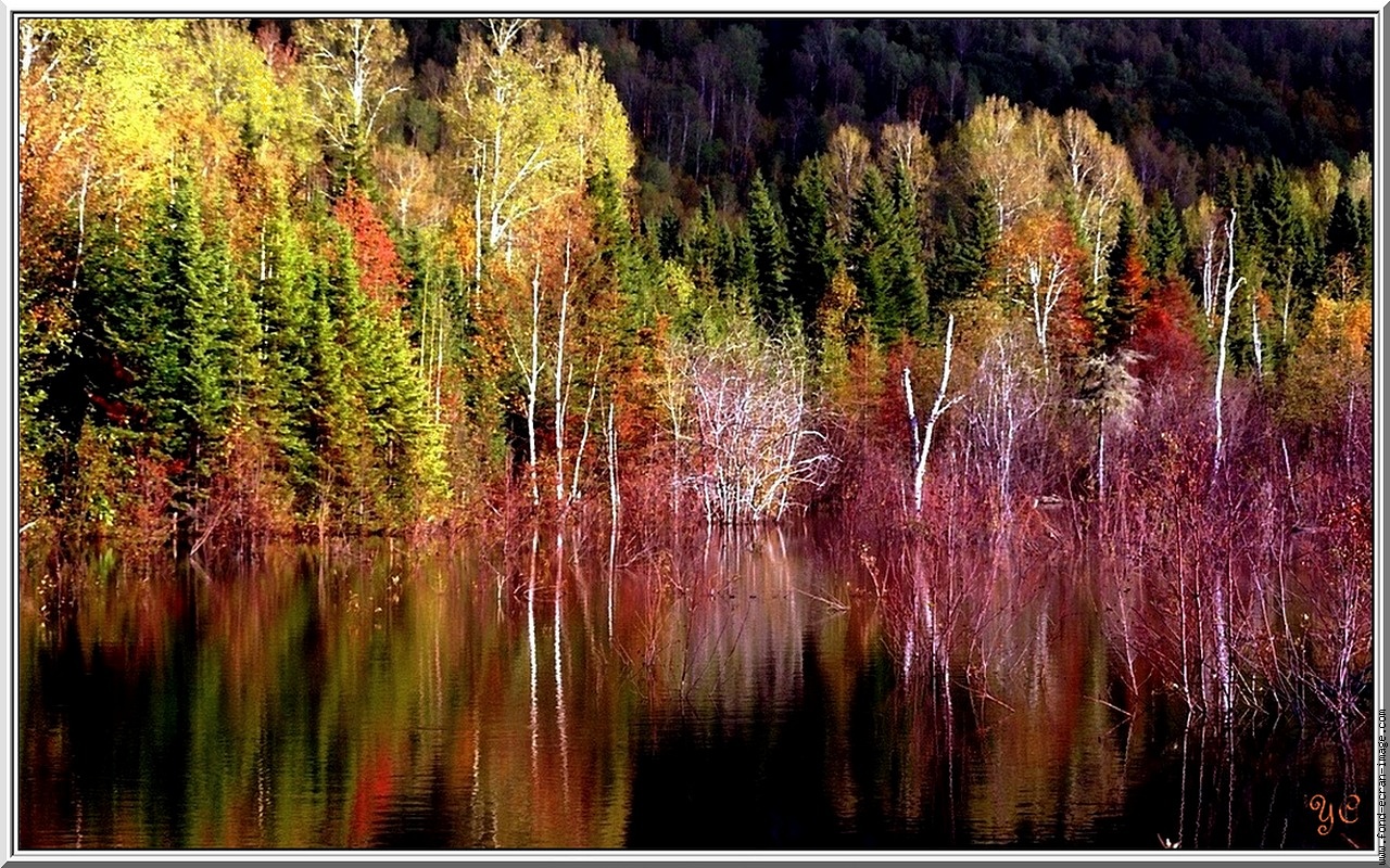 L'été Indien, pour faire l´amour | Blumuneando