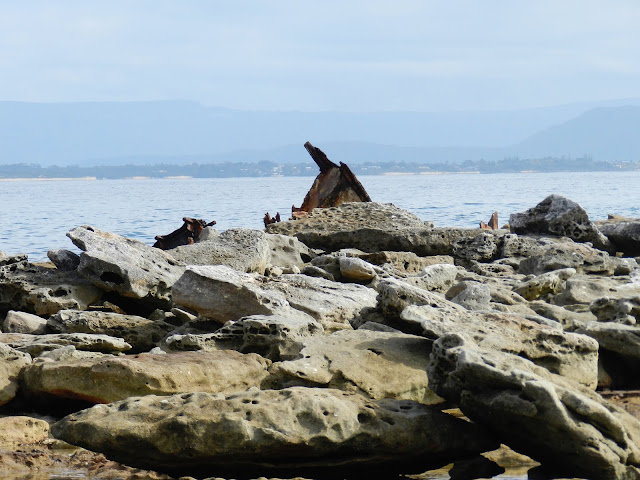 Phil's Bushwalking Blog: Abrahams Bosom Reserve: Gosangs Tunnel and ...