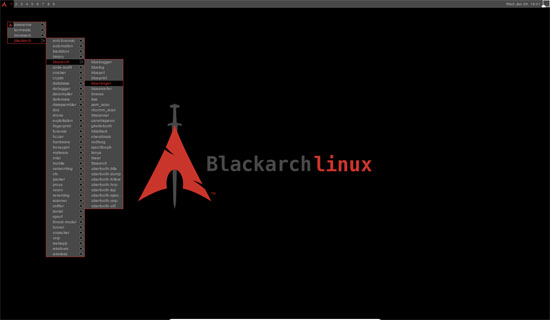 Blackarch linux iso install - lanetapolar