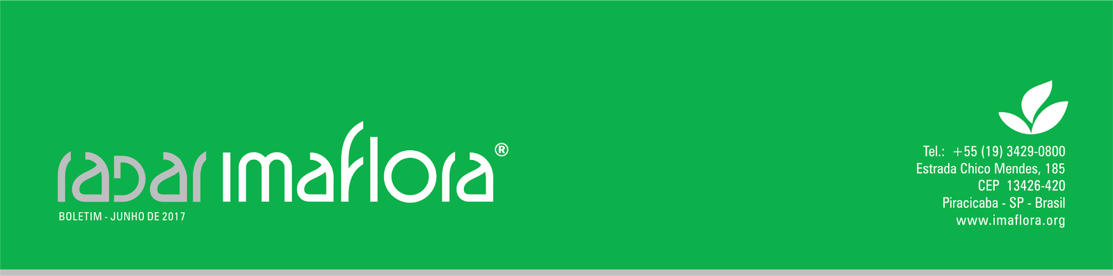 Imaflora: O maior reservatório de carbono da Terra