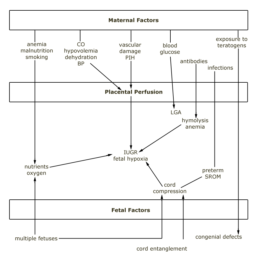 Pathophysiology: IUGR - Pathophysiology