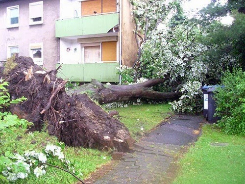 Storm in Germany today: Six killed in North Rhine-Westphalia
