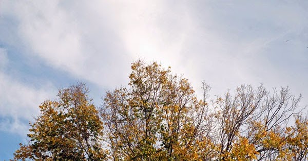 mundo flo: Autumn skies