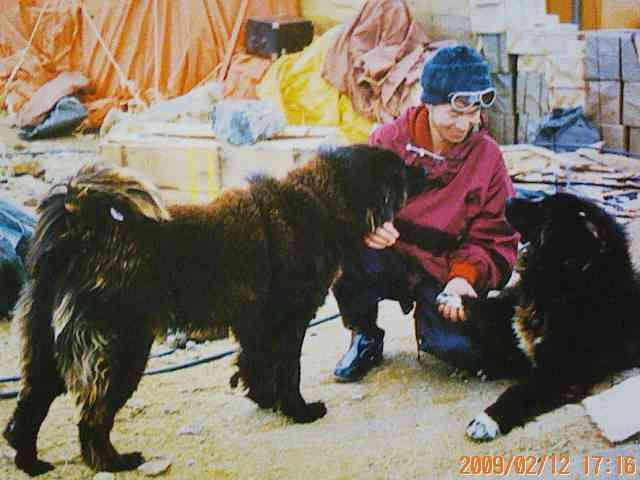 NUNCAJAMAS COCKER: TARO Y JIRO; HÉROES JAPONESES