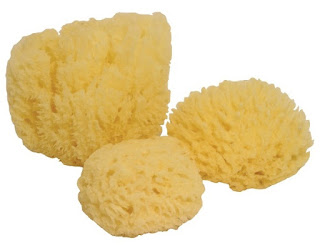 Picking the right bath sponge ~ Cambridge Greek Corner