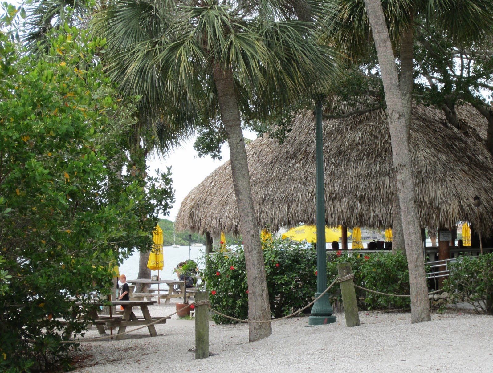 Southwest Florida Shoreline Studies: Downtown Sarasota Sights