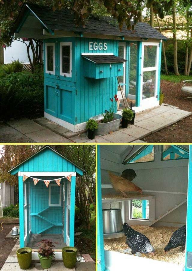 Ideias para Quem Quer Um Galinheiro Em Casa. - Flinki Artes