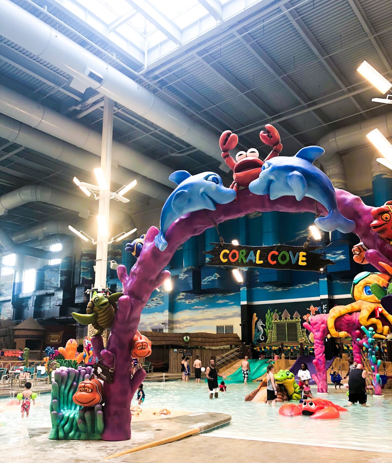 Six Tips For Visiting Kalahari Resorts - TfDiaries