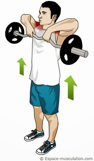 rowing menton Methode De Musculation