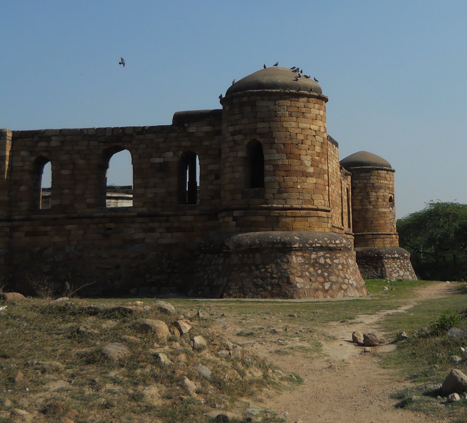 evenfewergoats: Sultan Ghari