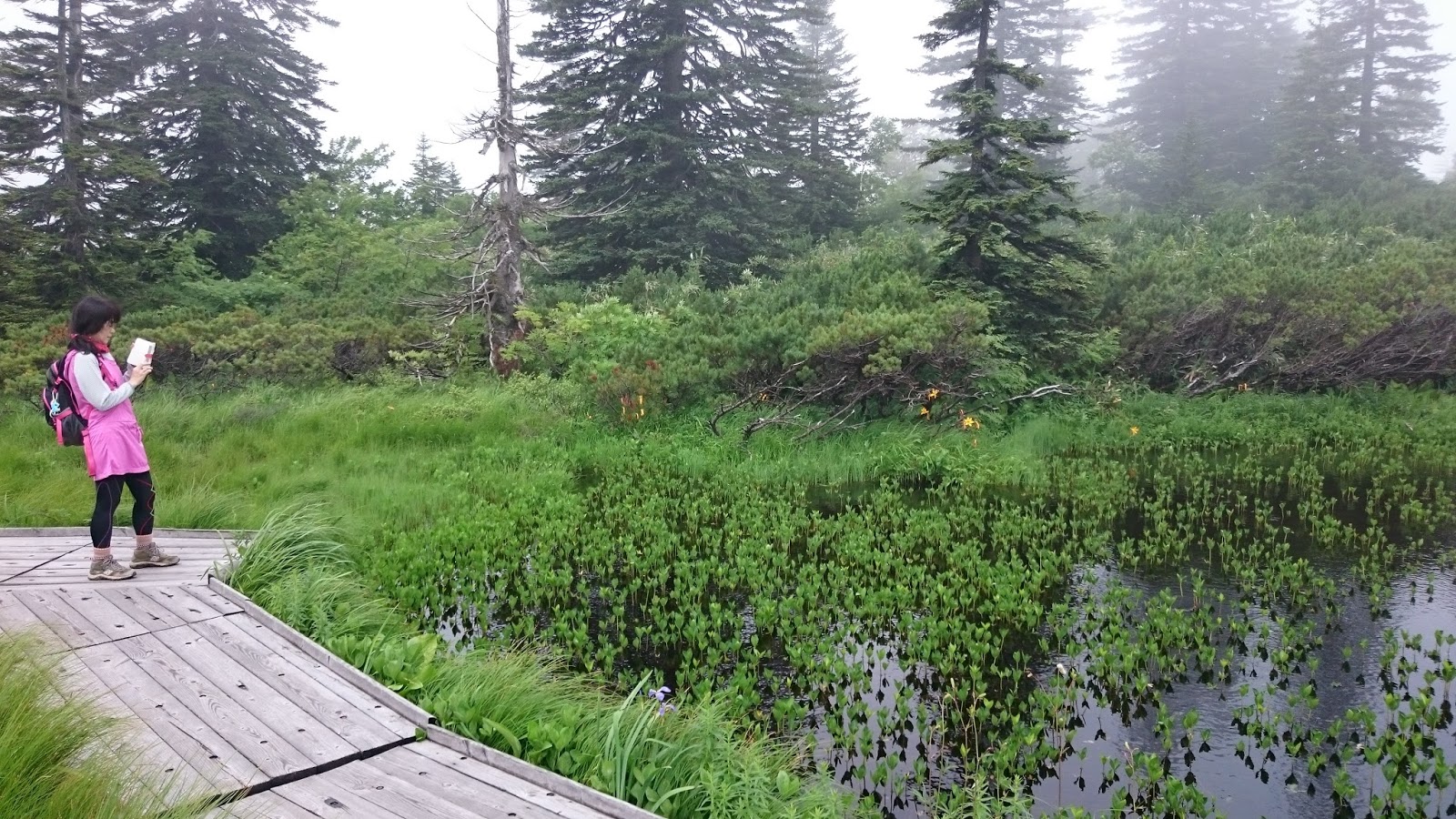 talk-hokkaido: Shinsen-numa Marsh 2