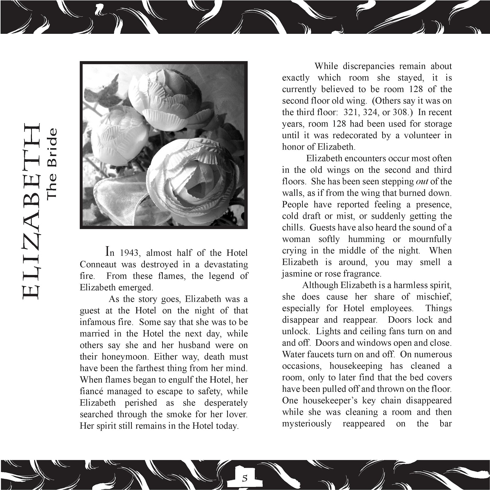 The Ghosts of Hotel Conneaut and Conneaut Lake Park: About the Book