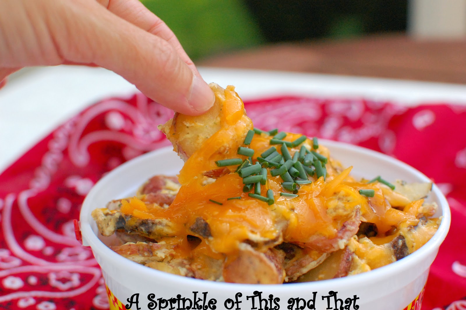 A Sprinkle of This and That: Bucket O'Cheesy Fries