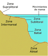 LOS GRANDES ECOSISTEMS DEL PLANETA TIERRA: ECOSISTEMAS
