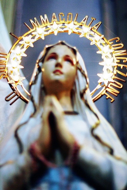 Cassandra's Musings: The Immaculata