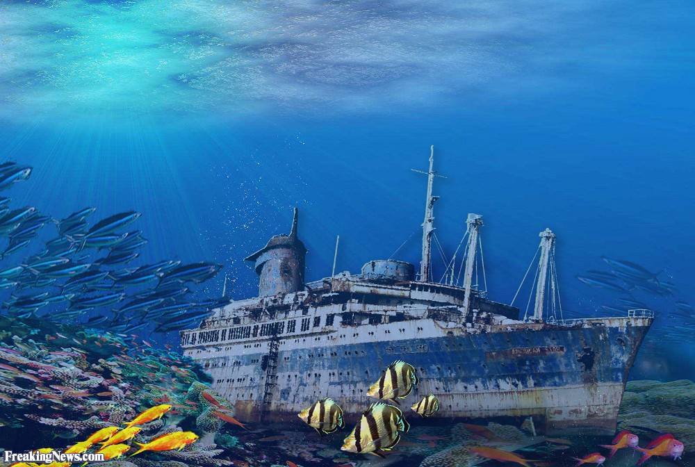 This Week on the Island: 09/10/16