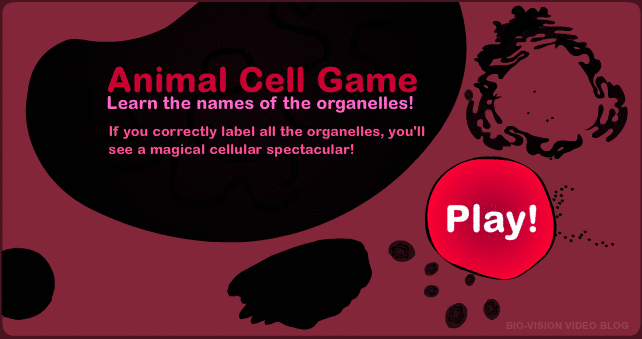 CELL GAME - BIOLOGY - STANDARD 8