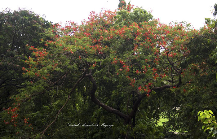 Mumbai Daily: Our world