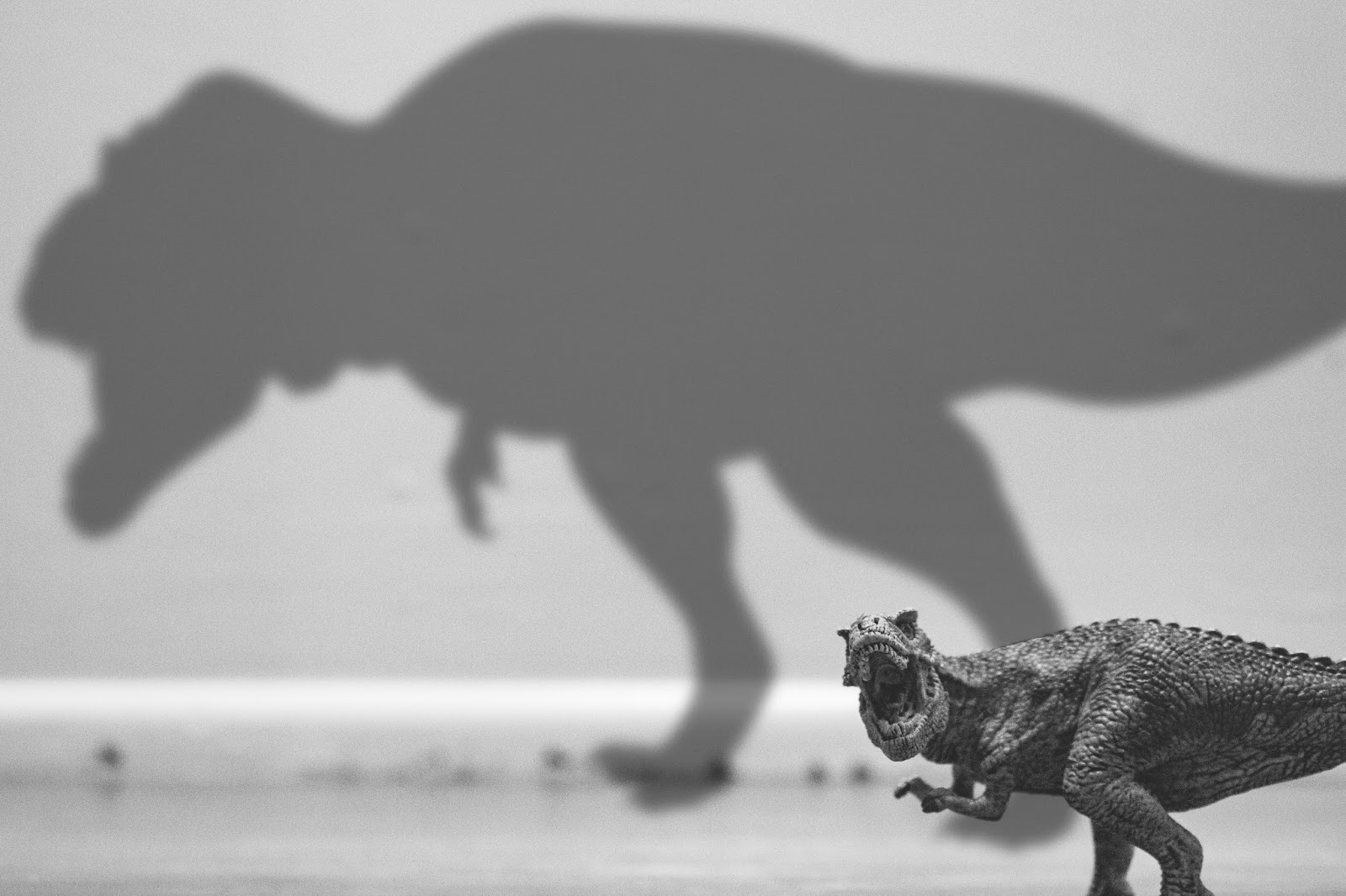 Jade B. Photography: Project 2: Surreal Shadows