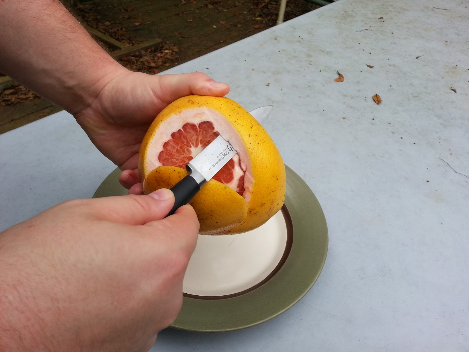 How to Section Grapefruit Like an Expert