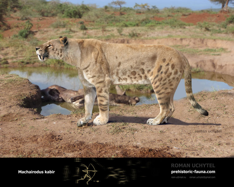 Palaeos, la historia de la Vida en la Tierra: septiembre 2011