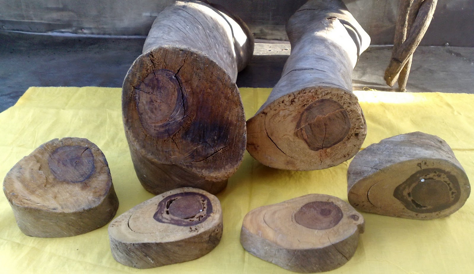 Pak Chu's Antiques, Mystic & Traditional Herbs: Kayu / Buluh