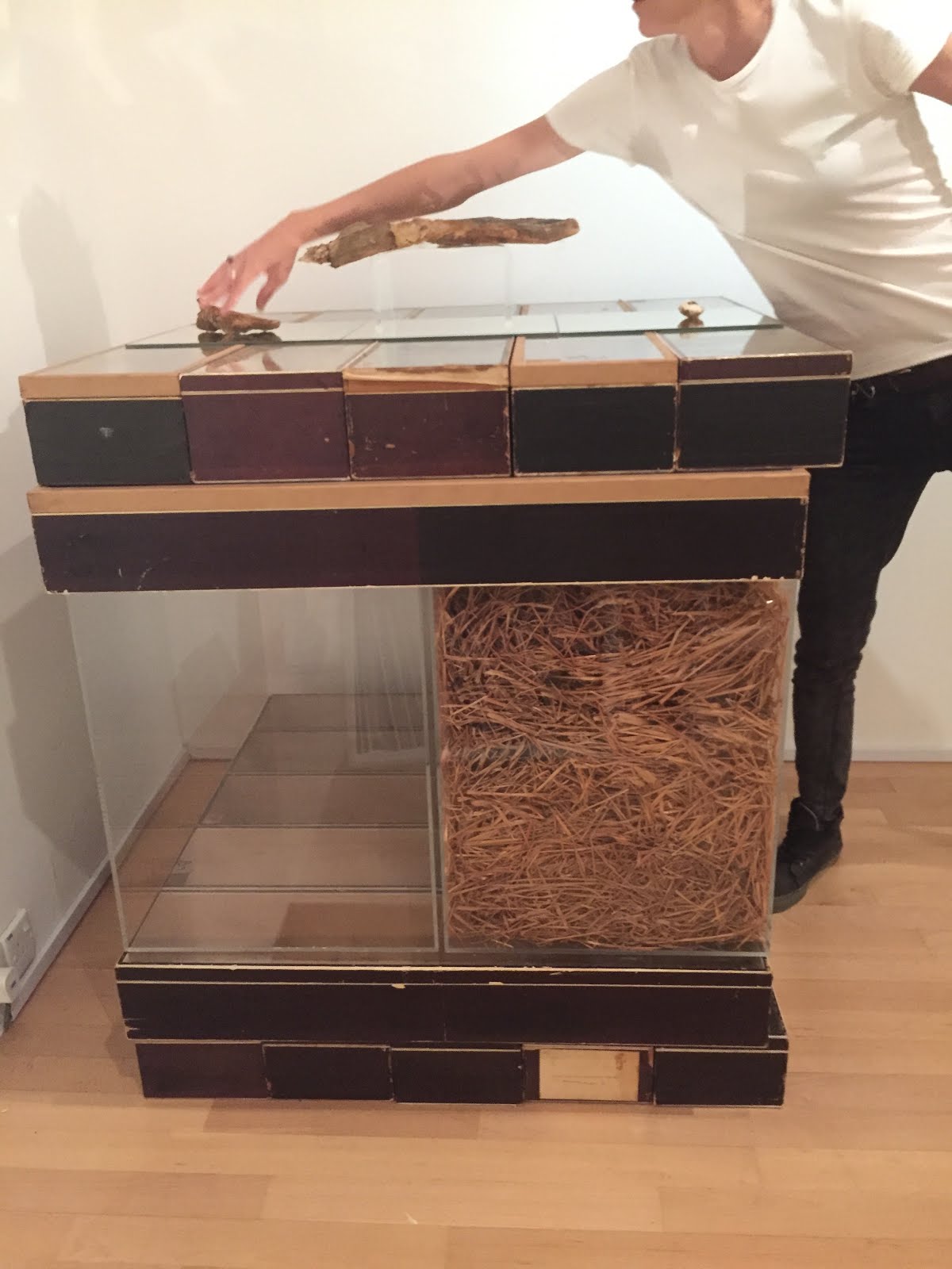 Diary of an NUS Museum Intern: Sara Lau