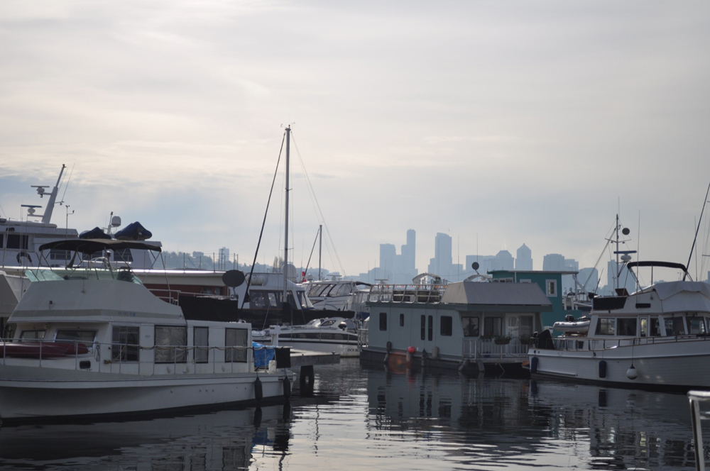 MotArt: Seattle Marina