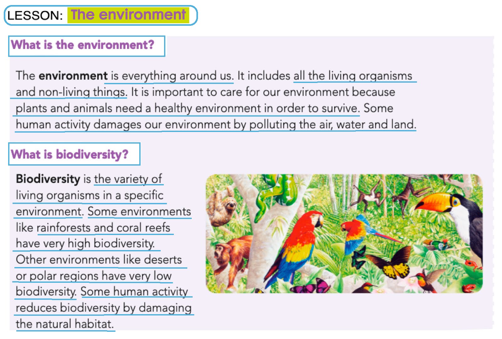 Blog de 3º de Primaria: Natural Science - UNIT - ANIMALS - LESSON: THE ...