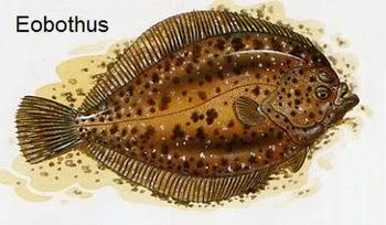 Los animales en la prehistoria: junio 2013