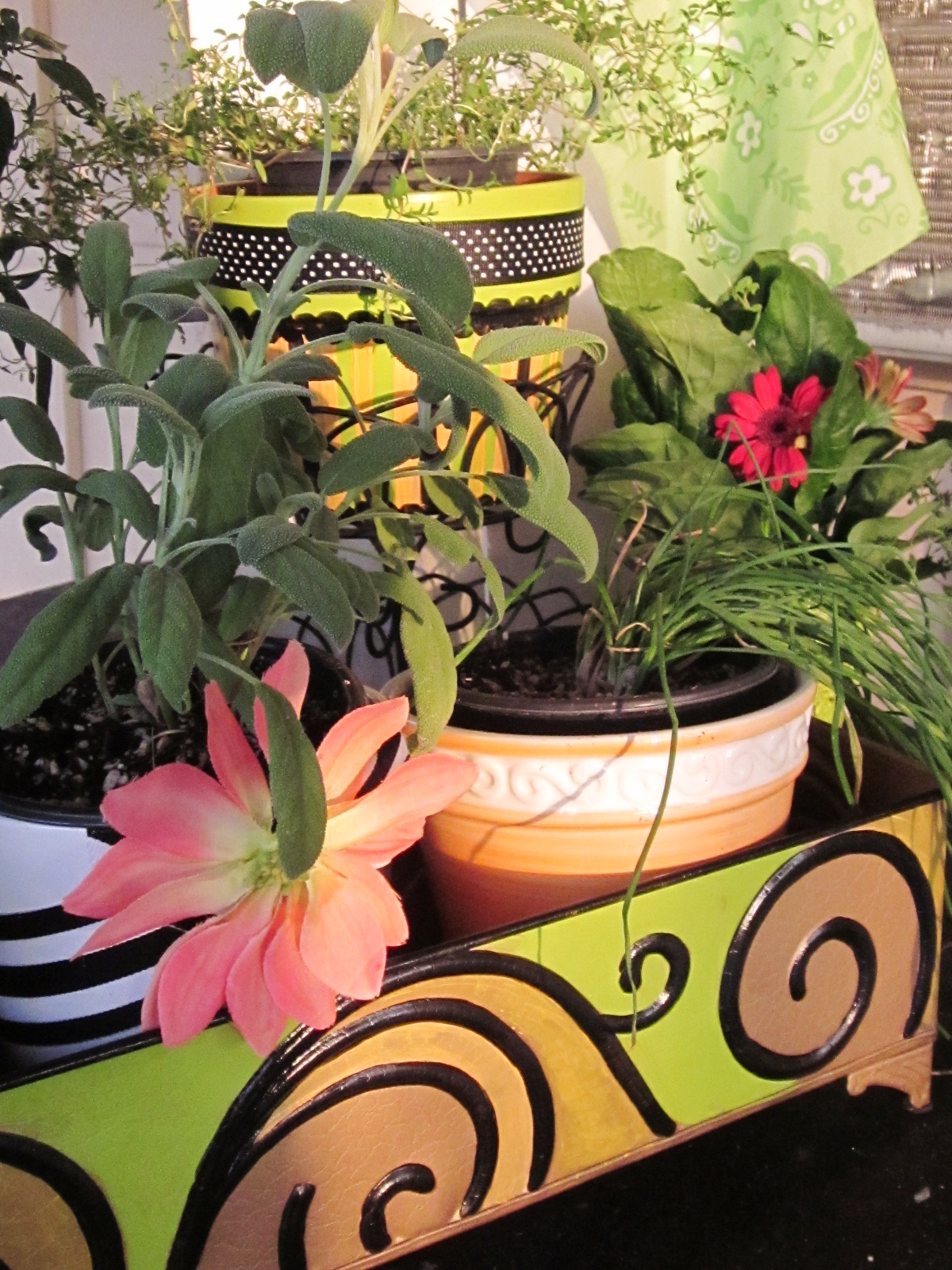 Chef Tess Bakeresse: Smokin' Pots...Some Garden Crafty-stuff from cheap ...