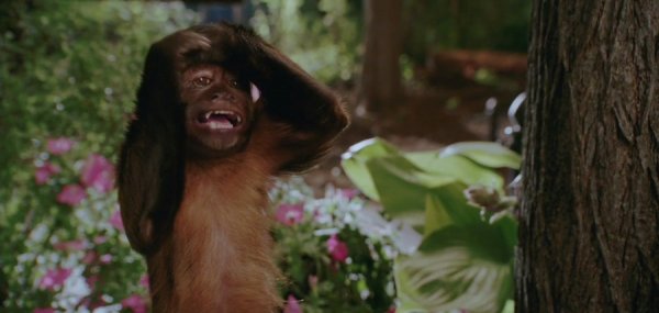 Film Guru Lad - Film Reviews: Zookeeper Review