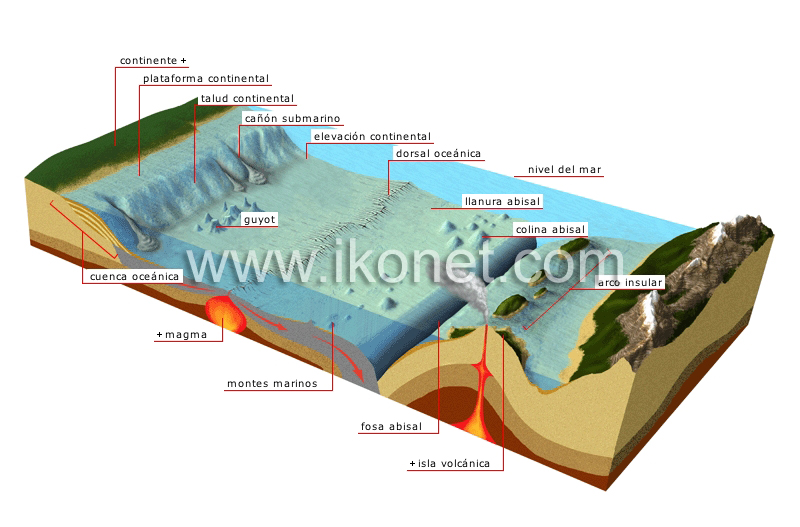 CIENCIAS NATURALES 1 OJA: RELIEVE DEL FONDO OCEÁNICO