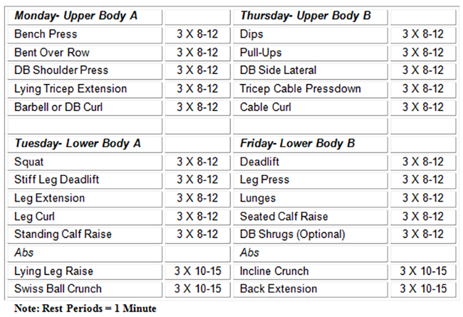 12 Week Strength Workout for Women ~ Fitness Stamina